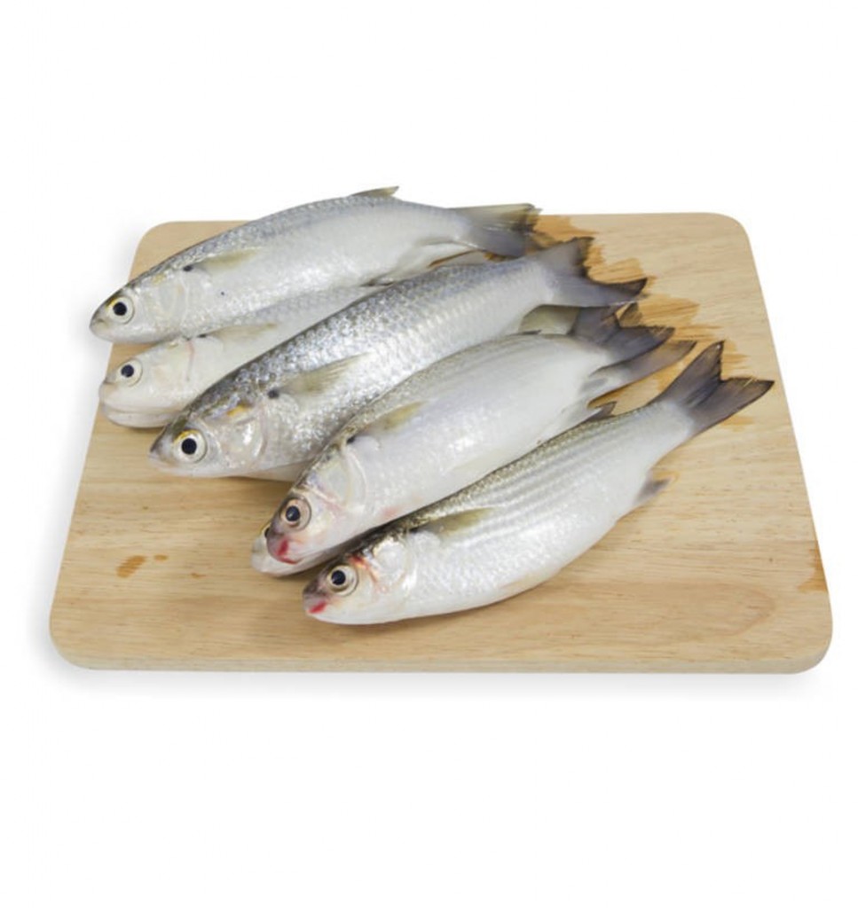 Tilapia Fish | Seven Emirates Supermarket