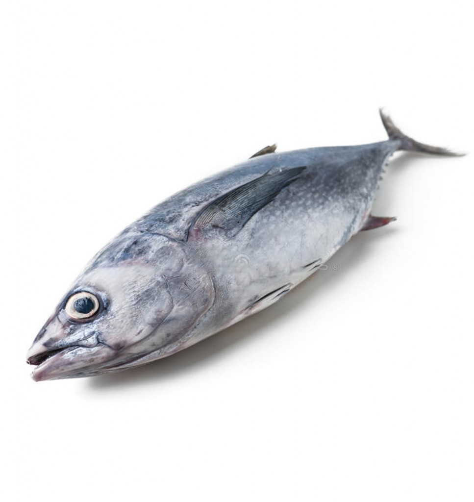 Tilapia Fish | Seven Emirates Supermarket