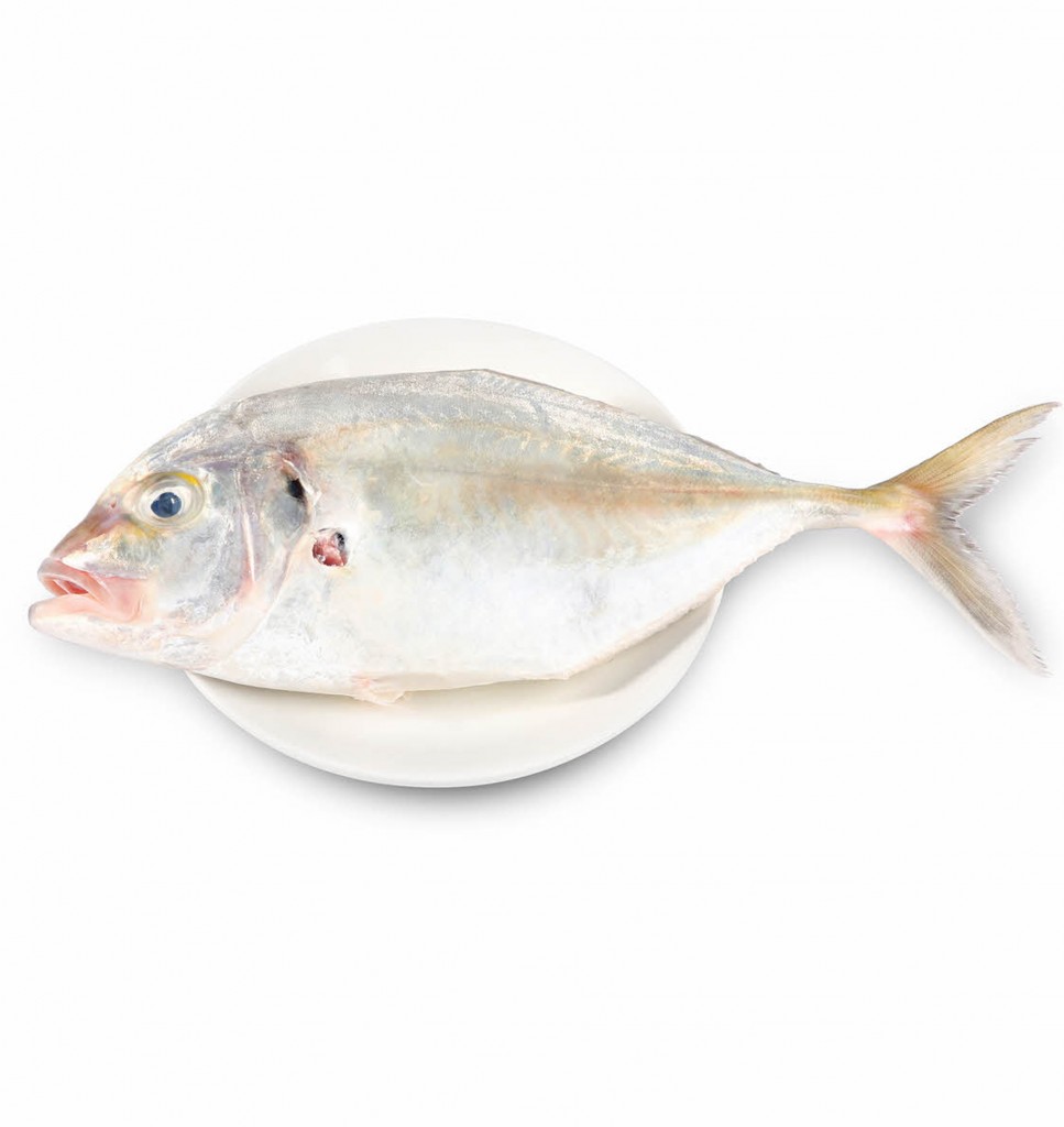 Tilapia Fish | Seven Emirates Supermarket
